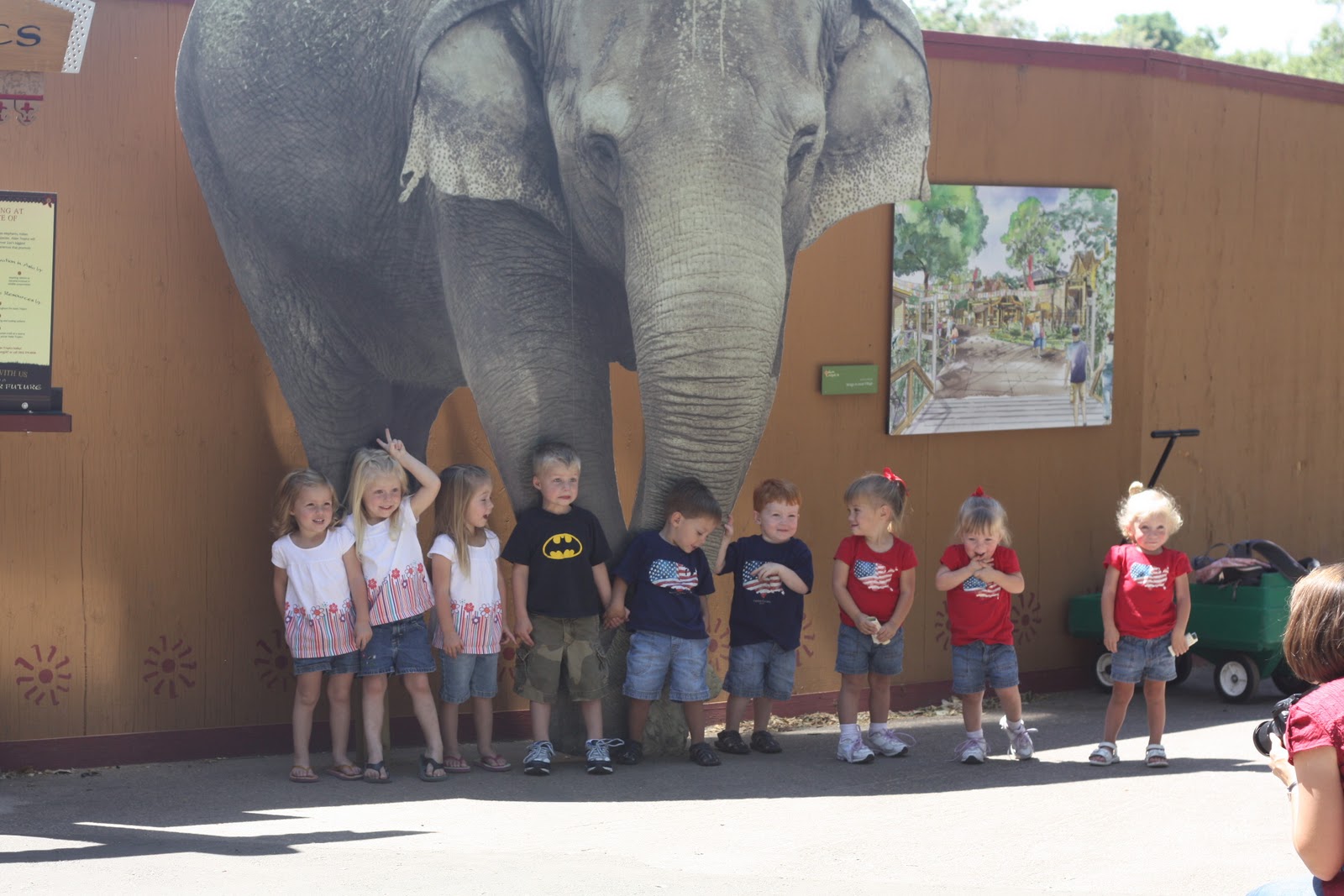 Arnold Quads: Time with the Wilkinson Quints