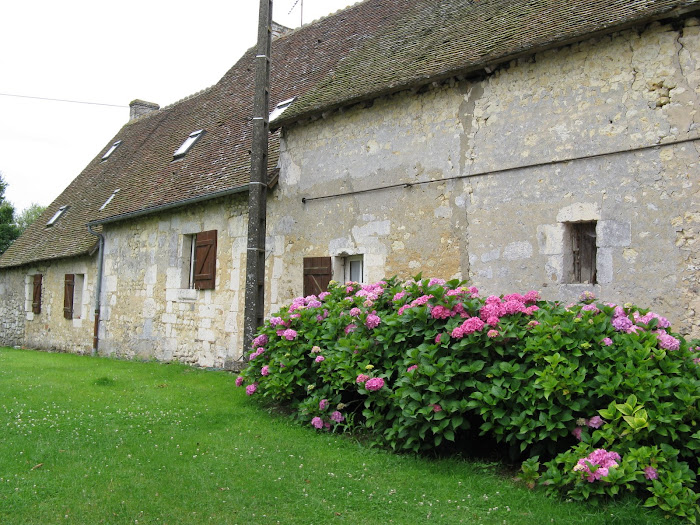 L'ancêtre Robert Drouin