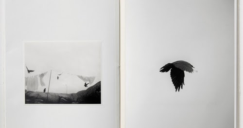 Ein See ist immer ganz in der nähe: Raymond Meeks Nevermore