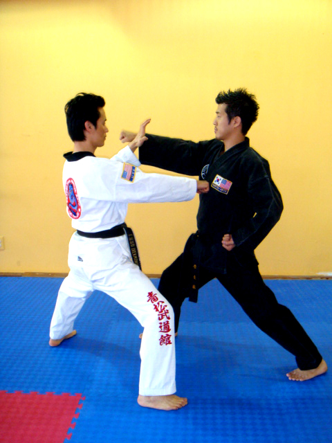 Soo Shim Kwan 水心館수심관: Prearranged Sparring: Definition, Purpose and Value