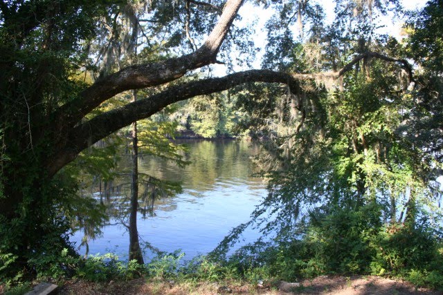 Speer Family: Florida Springs Family Bike Tour - Day 6