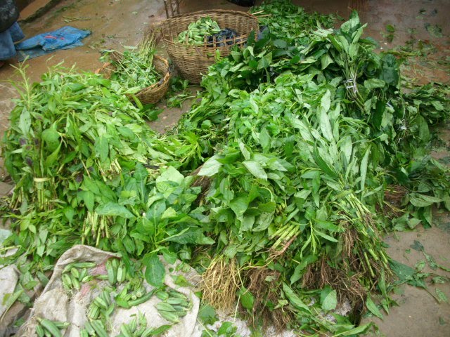 Agric. Products in Lagos Markets.: Article 49: "GBURE" the "Water Leaf ...