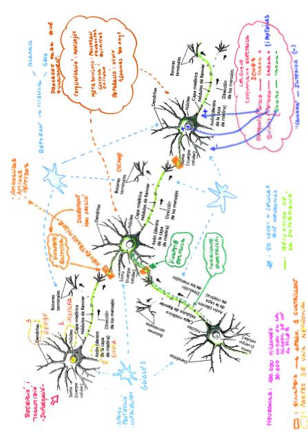 PenSaMent: Mapa mental sobre el funcionamiento neuronal