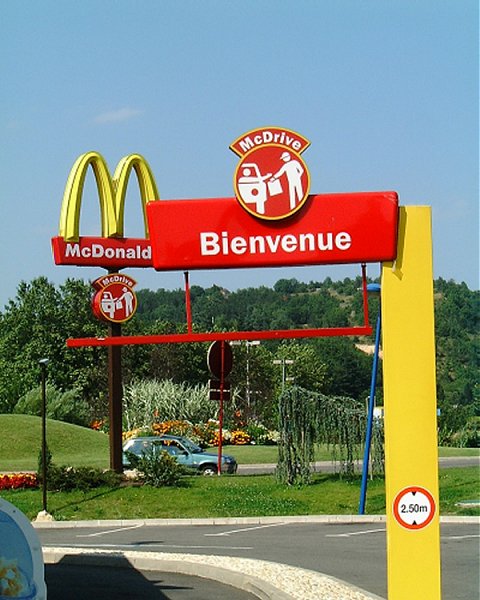 Disneyization | Introduction to France