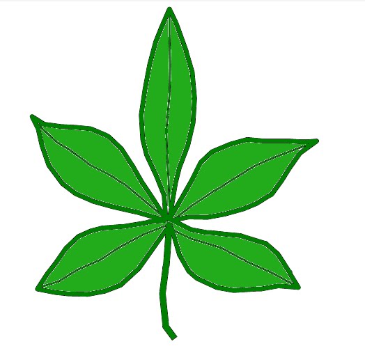 🏅 Clasificación de hojas por su forma 🍃🍂🍁 : El Mundo y sus Plantas