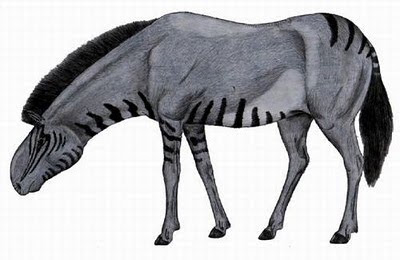 Planeta das feras : Hippidion