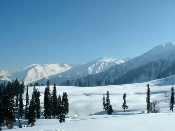 TRAVEL "OUT OF THE BOX": Gulmarg : The meadow of flowers
