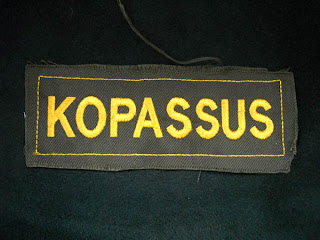 Welcome to My Blog !: Brevet,Wing & Patch TNI