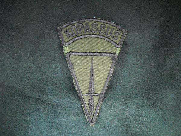 Welcome to My Blog !: Brevet,Wing & Patch TNI