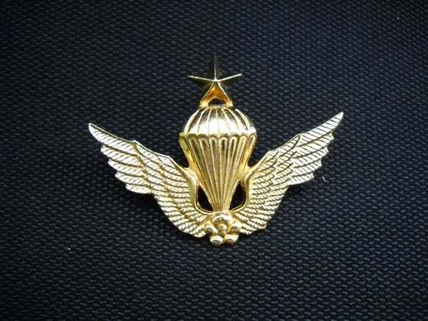 KOLEKSI MILITER JADOEL: Brevet,Wing & Patch TNI