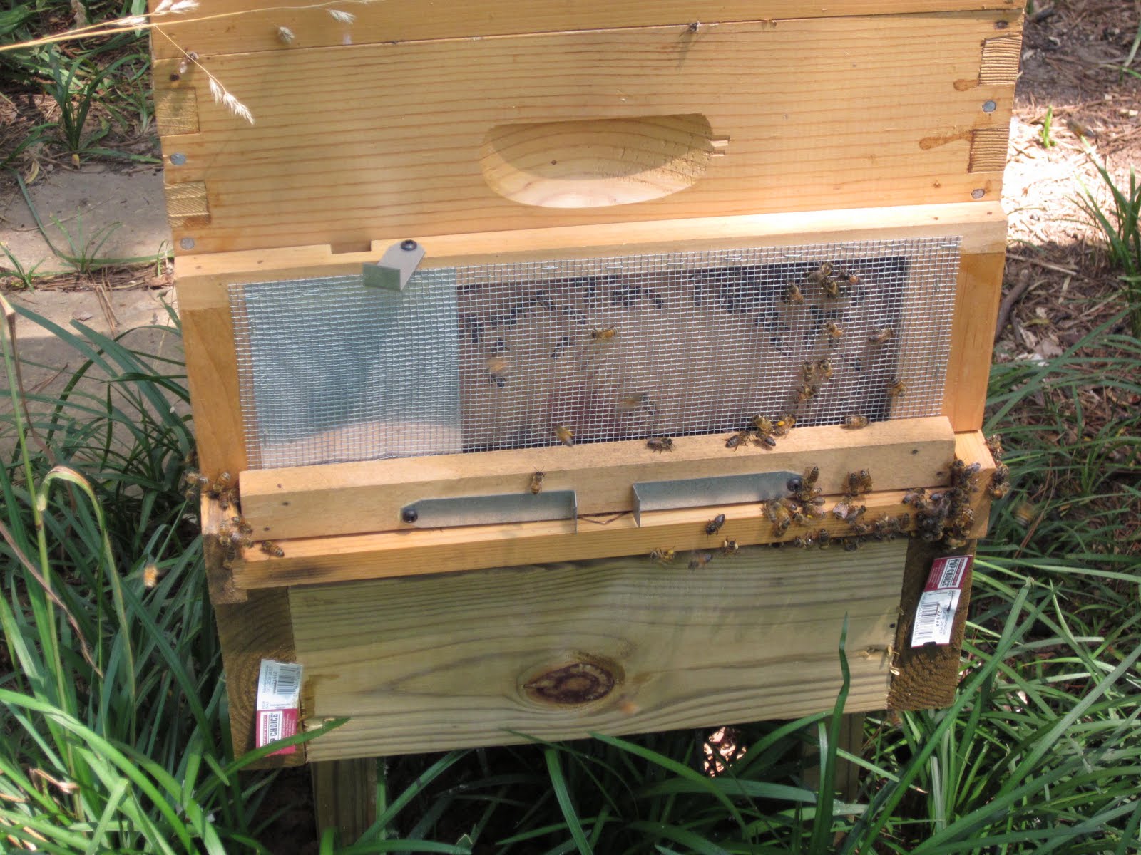 I may have made a huge mistake : r/Beekeeping