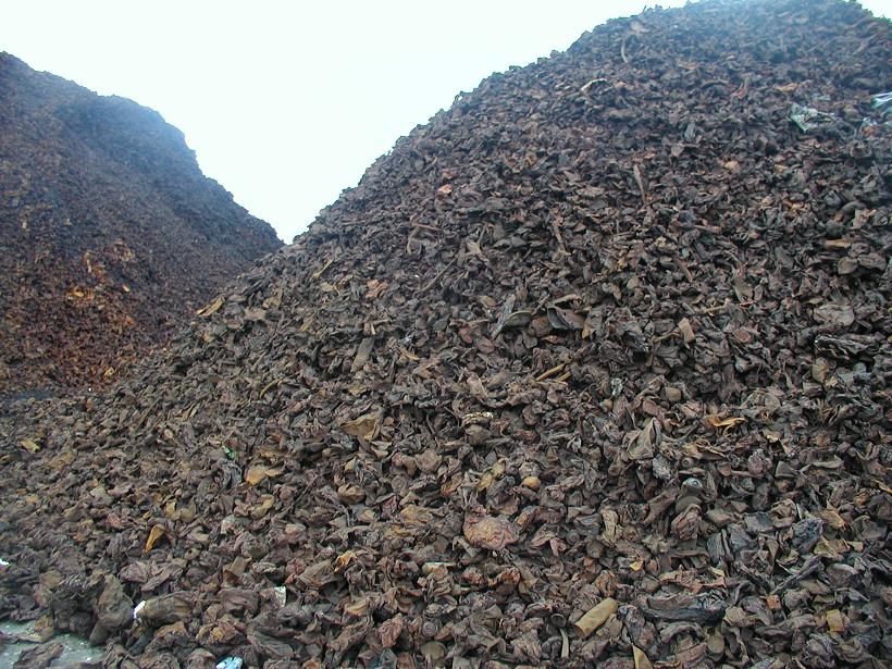 Scrap: Incinerated Shredded Scrap E-46