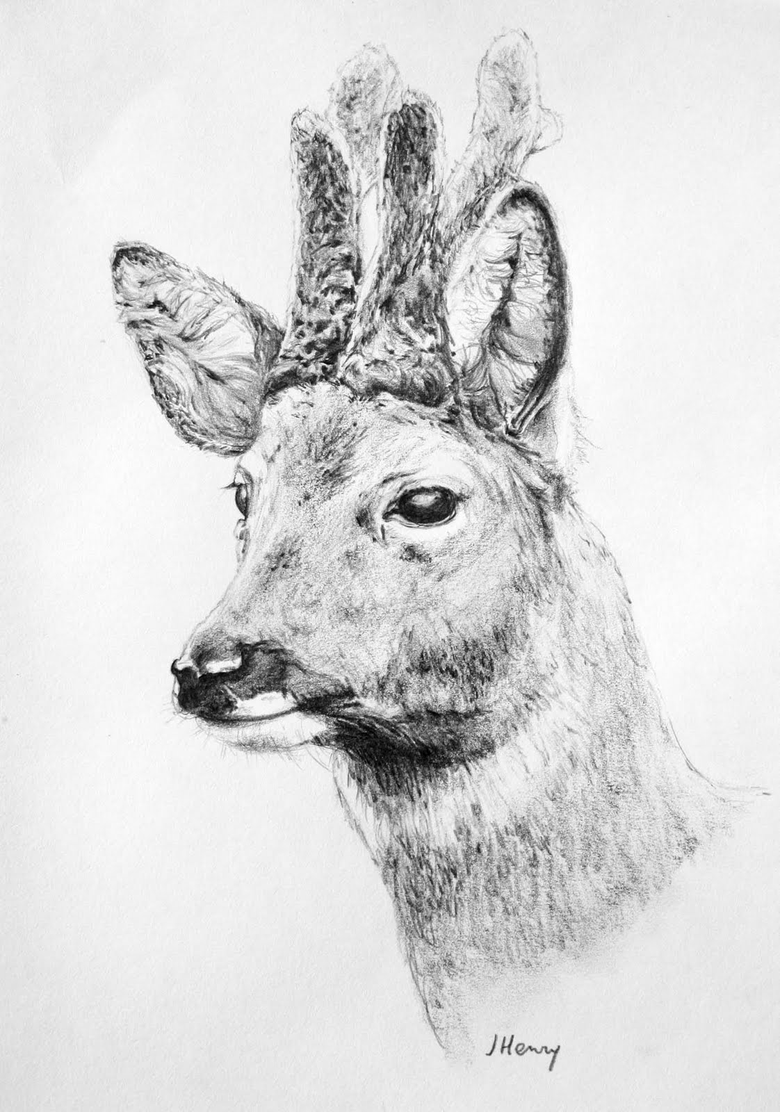 la méthode du crabe...: Brocard