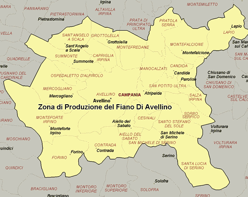 my life italian: Fiano di Avellino DOCG