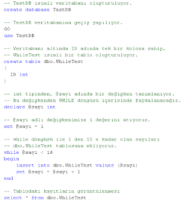 Ercan Bozkurt weBlog: SQL Server üzerinde WHILE kullanımı