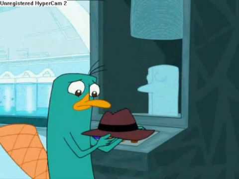 Perry el ornitorrinco bebé tierno - Imagui