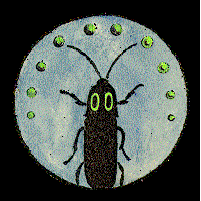 CUBANIDADES: El cocuyo......En las noche cubanas ...