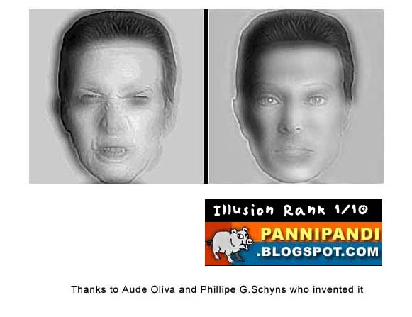 panni pandi: Top 10 illusions - Rank 1 - angry calm face