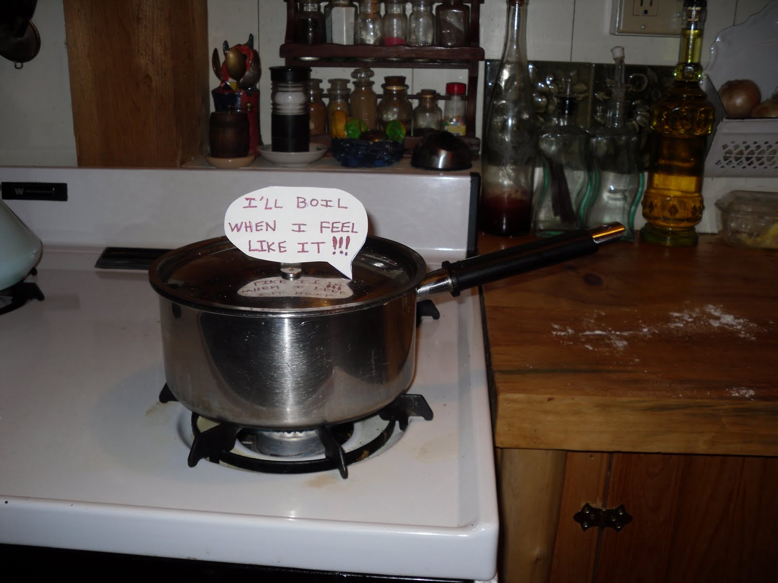 Bloom for Me: A Watched Pot Never Boils