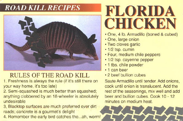 My Favorite Postcards: Funny Armadillo Road Kill Recipe