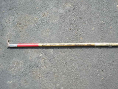 Steven the Jungle Tiger: The use of an ankus or bullhook