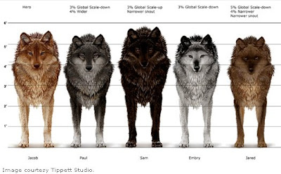 Fans Love Midnight Sun: New Moon’s CGI Wolves: The Rundown