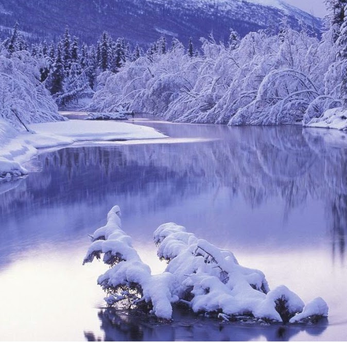 EMPEZAR DE CERO: diciembre 2010