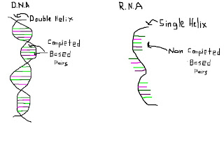 Michaels Blog: December 2008