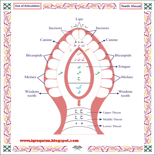 Daily Hadith-LiveQuran-Best platfom for online Quran teaching-Guid ...