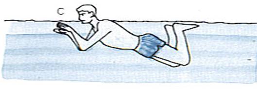 Mi blog.: Nado de Pecho.