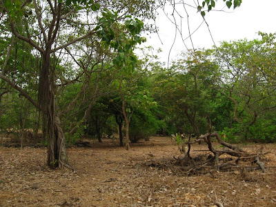 Travel magic: Maharashtra Nature Park