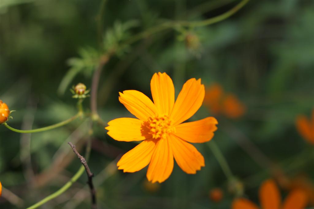 Travel magic: October 2010