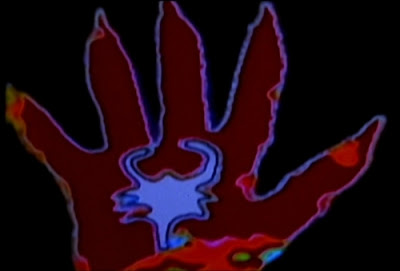 Updated Predator Study