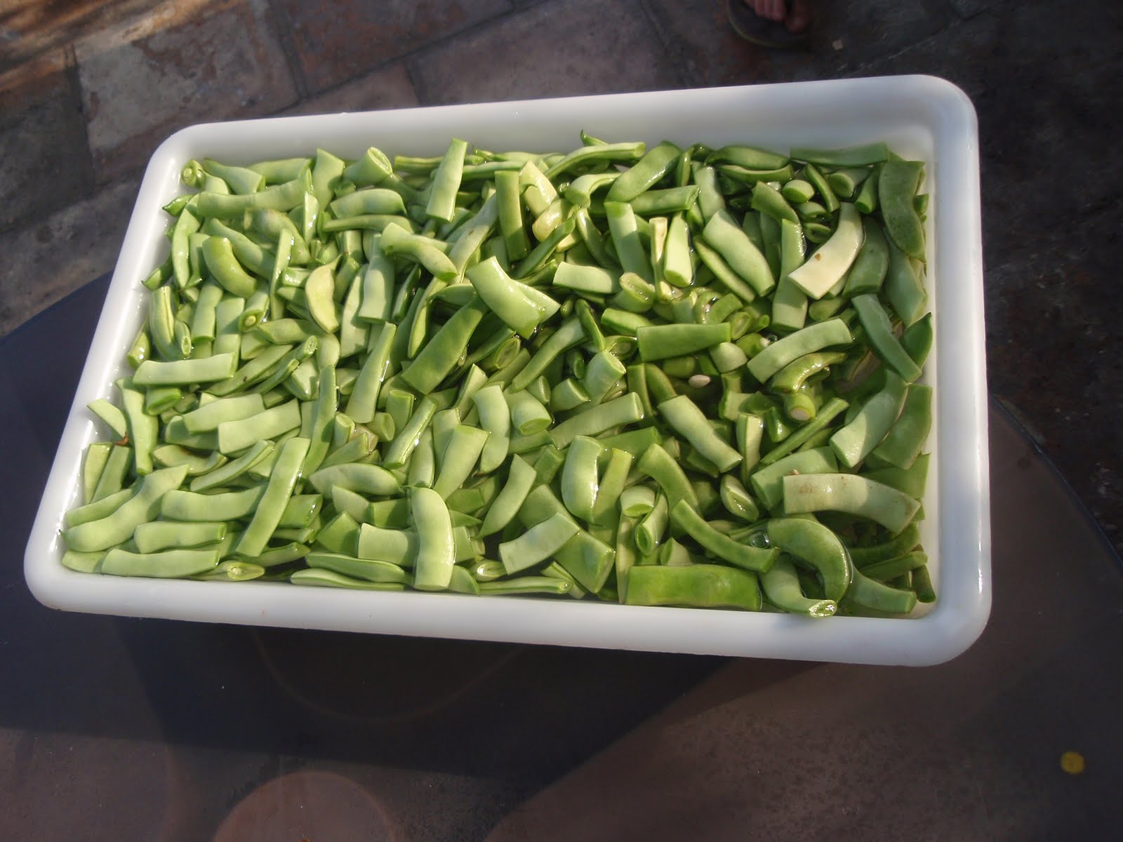 Mediterranean Mastication: Very-licious Valencia