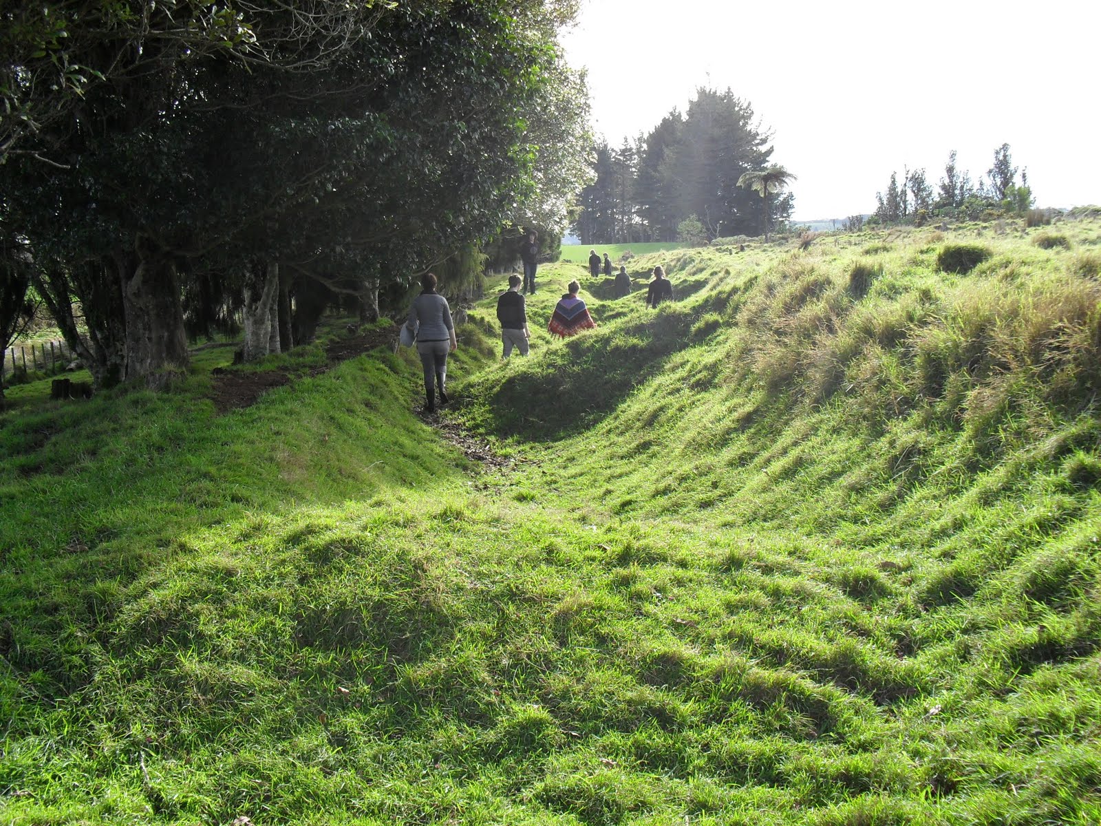 New Zealand History 1800 -1900: June 2010