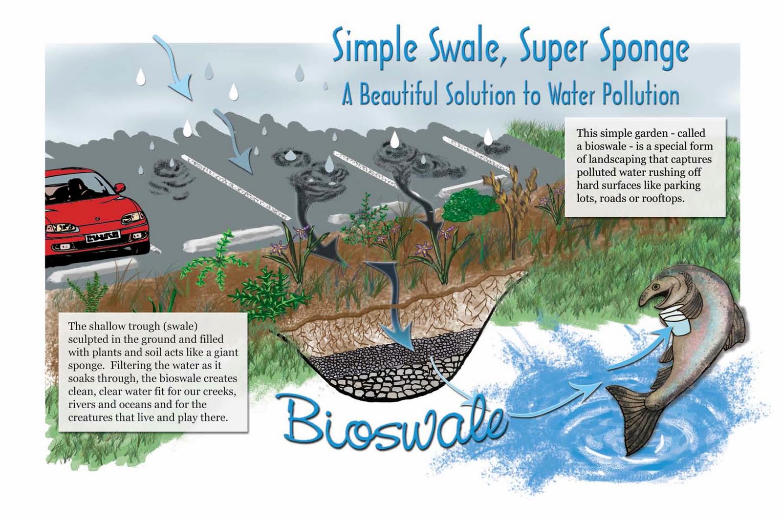 North Curry Bioswales