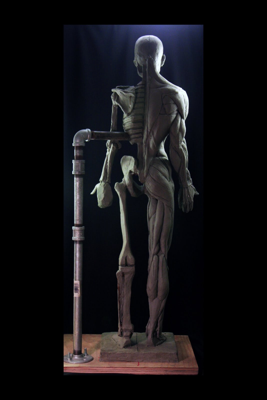 TANK's portfolio: My Ecorche sculpture