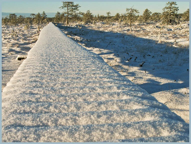 LOODUSELAMUSED: Laudtee Endla rabas, Duckboard in the Endla fen