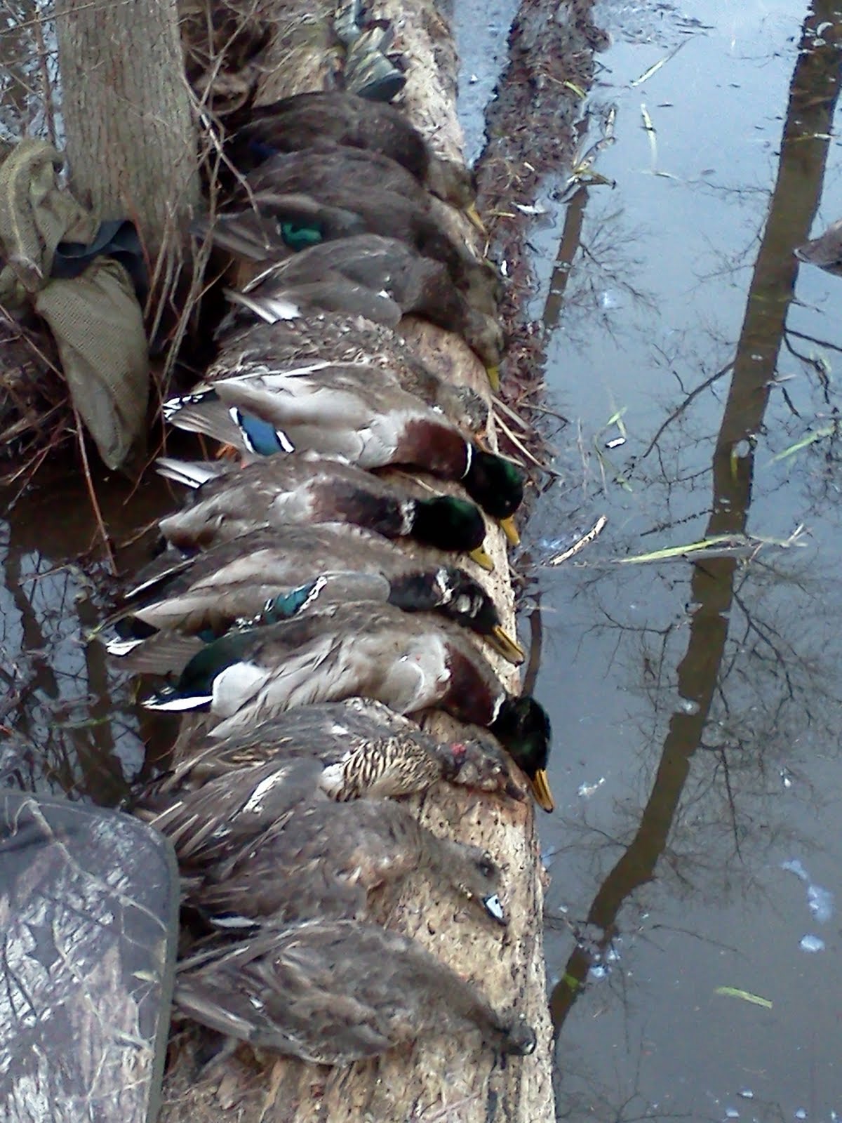 Swamp Jumper Ministry