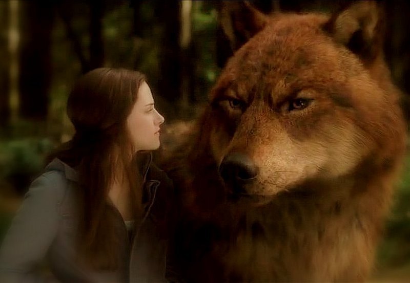 Screencaps de Jacob en Forma de Lobo con Bella « Diario Twilight