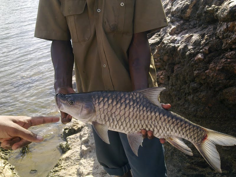 Trip to Cauvery Fishing Camp near Bangalore ~ PraveenSMS Tour Blog