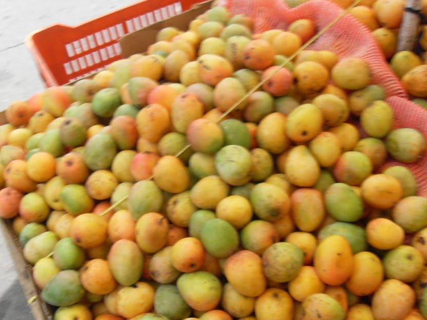 DIVAN Y CATARSIS: MANGO DE AZUCAR