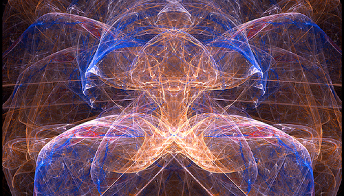 ¿Qué es Quilo de Ciencia?: Simetría bilateral