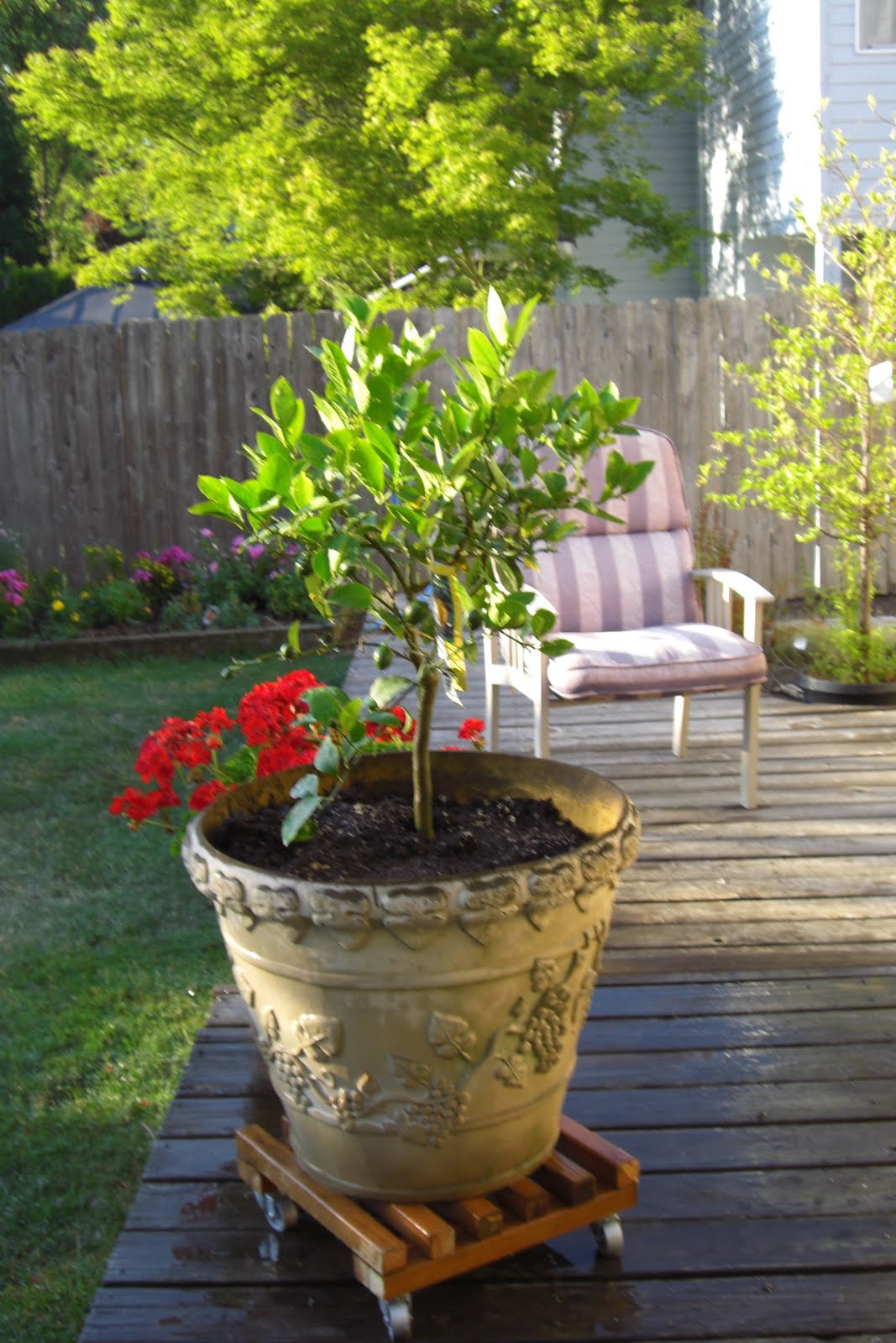 Stephanie Brockway Rolling Plant Stand Tutorial cheap Easy 