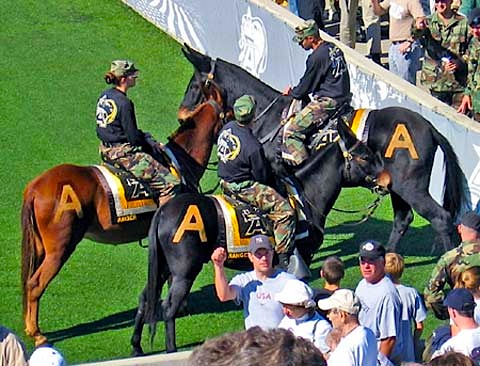 The Wizard of Odds: Navy's Prank of Pranks on Army