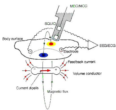 Seminar Topics: Biomagnetism