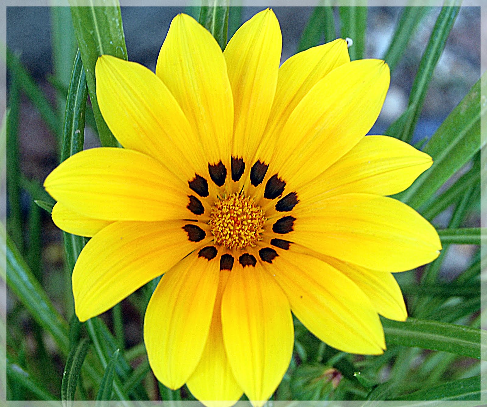 El interior desconocido