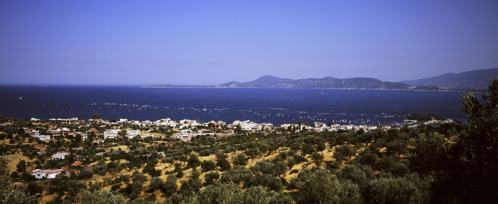 actimon: ΤΑ ΜΕΘΑΝΑ ΕΙΝΑΙ ΔΙΠΛΑ ΜΑΣ