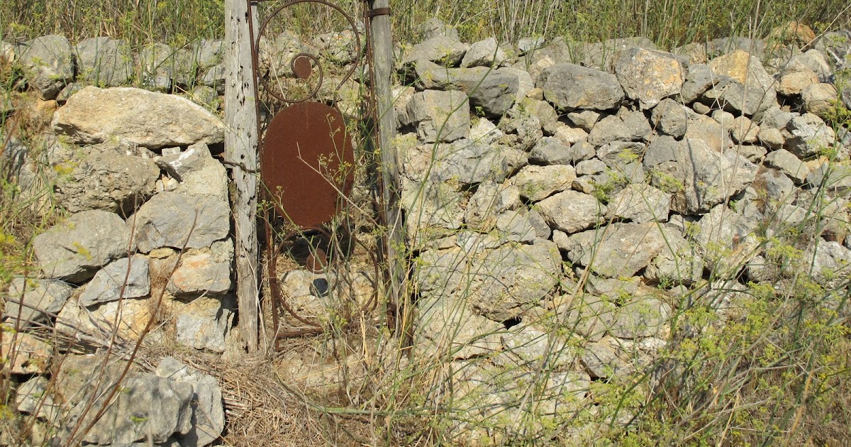 actimon: ΜΙΑ ΠΑΡΑΞΕΝΗ ΠΟΡΤΑ ΚΗΠΟΥ