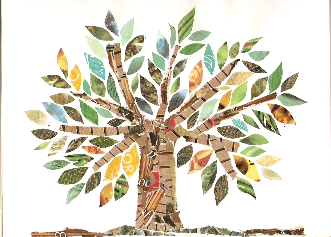 Art Earth Ink Soul: Trees to paper to trees.